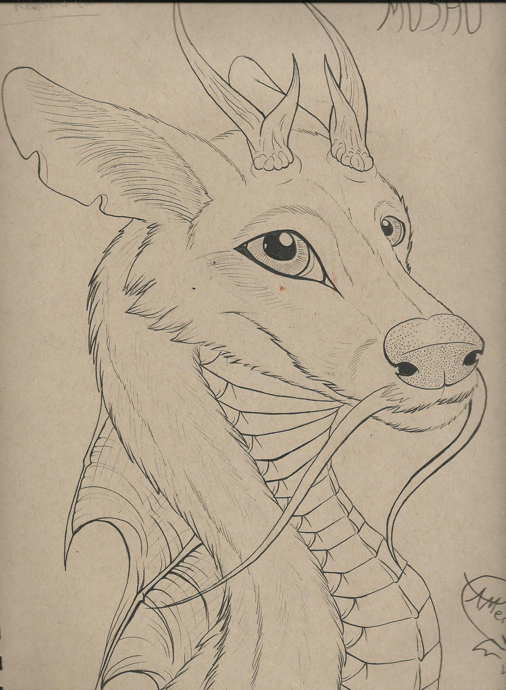 Realistic Mushu By Americanblackserpent On Deviantart