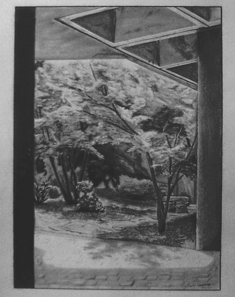 Evil trees drawing by Farallan on DeviantArt