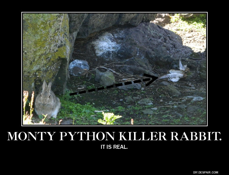Monty Python Rabbit By Aydra On Deviantart