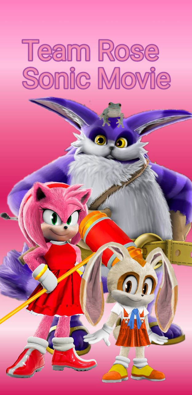 Team Rose Sonic Movie By Veru23 On Deviantart