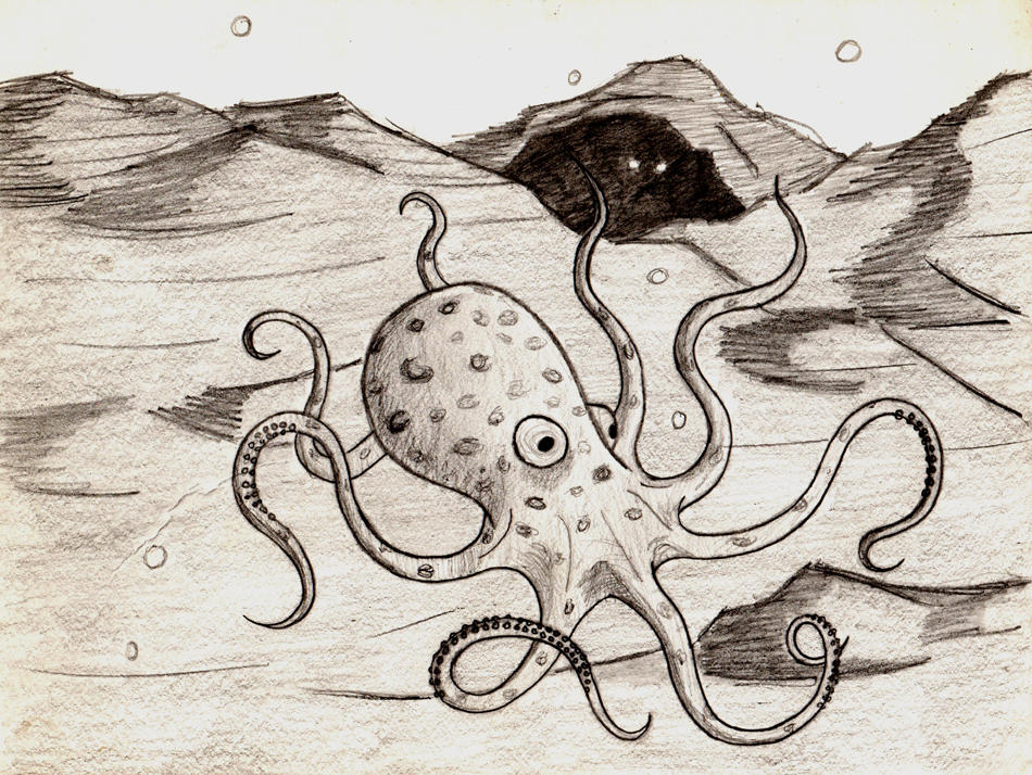 The Spotted Octopus by MisterNemo on DeviantArt