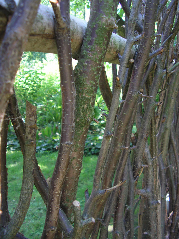 Strange fence by Aredhela on DeviantArt