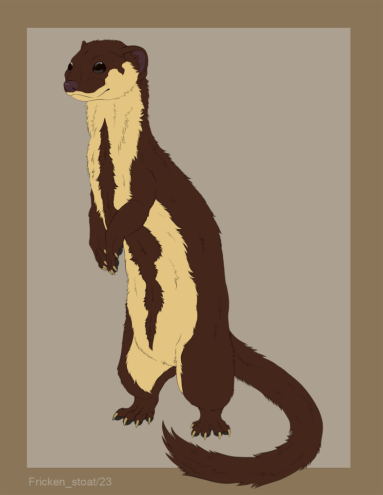 Amazon Weasel By Fricken Stoat On Deviantart