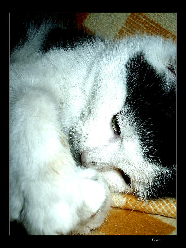 ...theli by atharis on DeviantArt