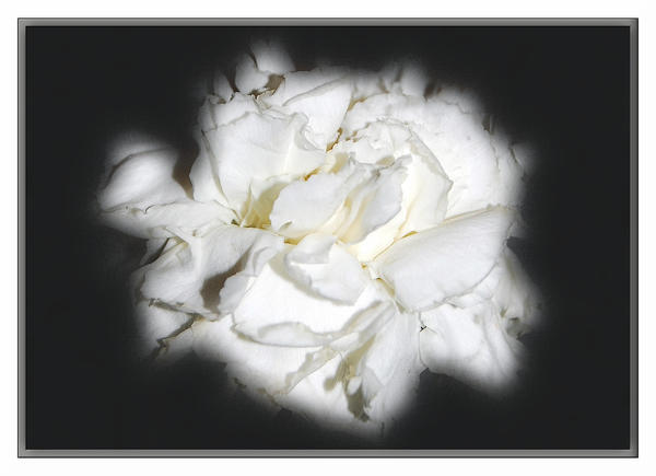 shf.....20 by shortfinger on DeviantArt