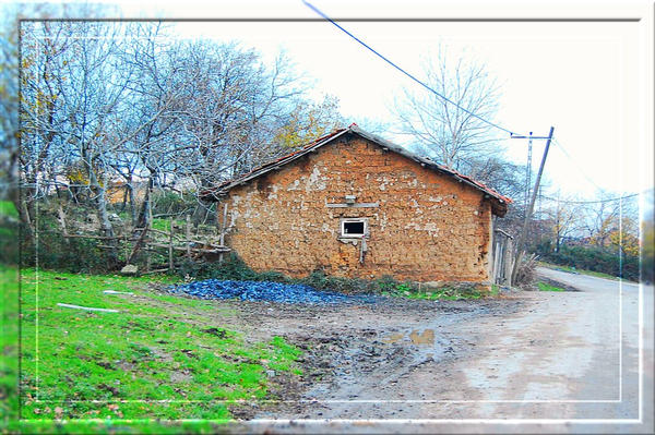 shf.....21 by shortfinger on DeviantArt