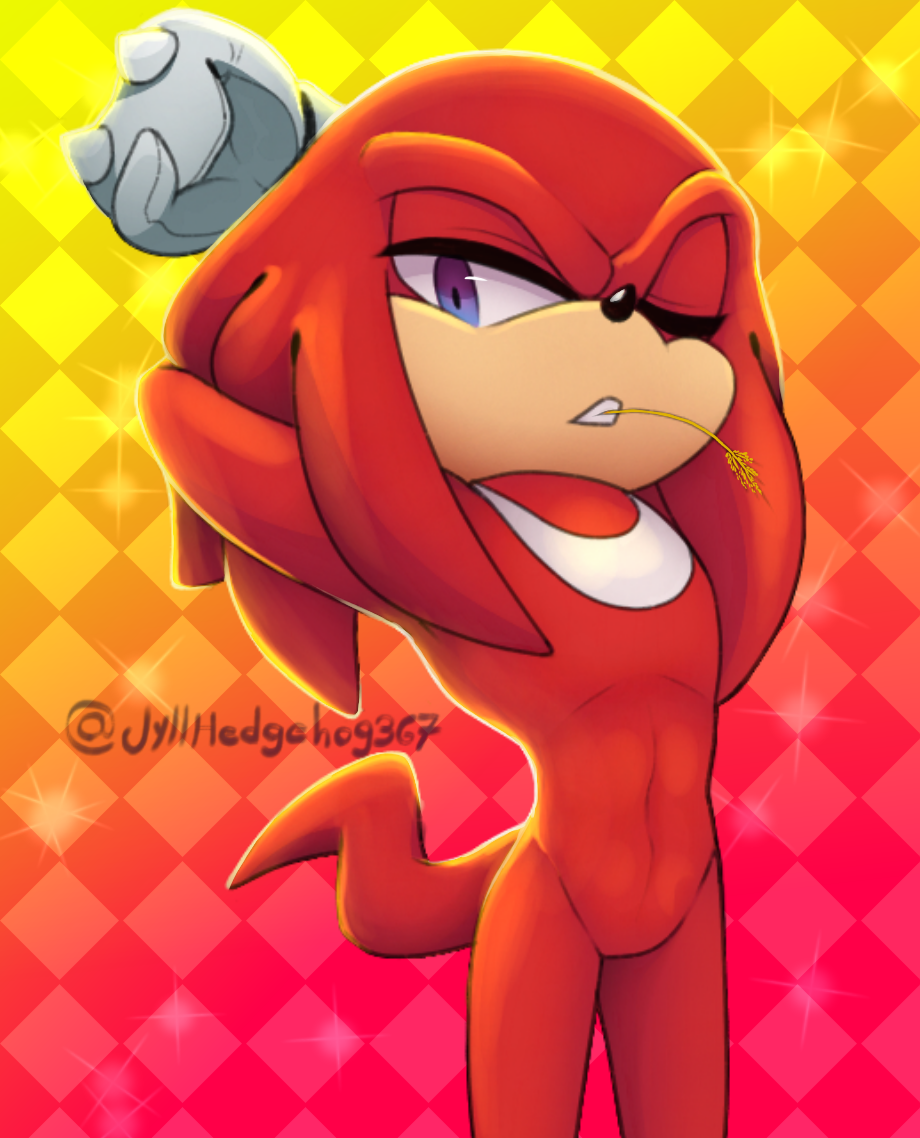 Knuckles The Echidna By Jyllhedgehog367 On Deviantart
