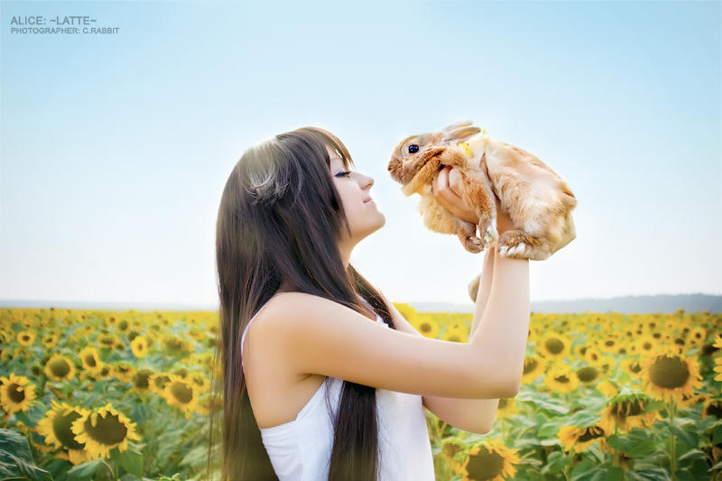 Alice With Sunflowers 3 By Crazyrabbit On Deviantart