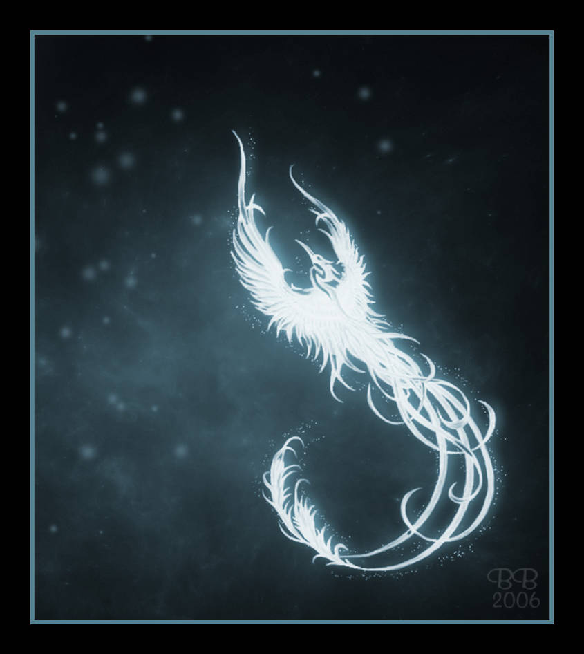 Nightbird by Brashier on DeviantArt