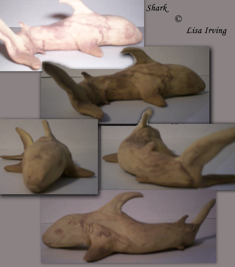 Sharky by EmeraldWolf77 on DeviantArt