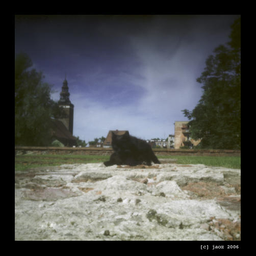 pinhole cat by jaoz on DeviantArt