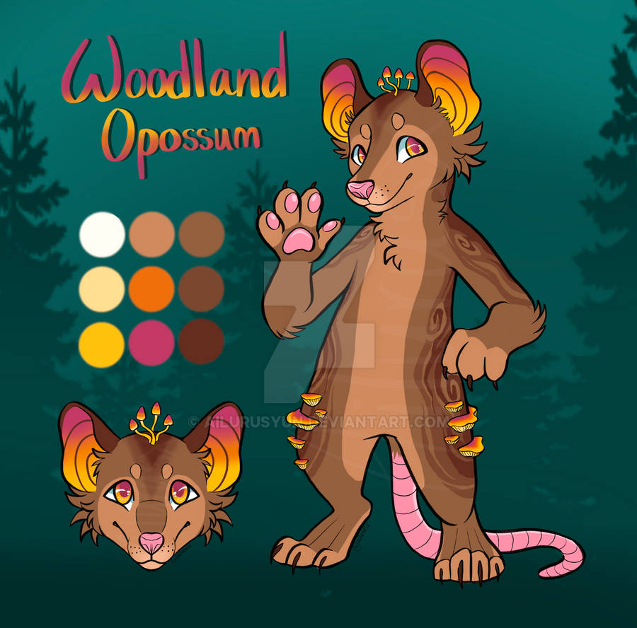 Woodland Opossum Adoptable Open By Ailurusyun On Deviantart