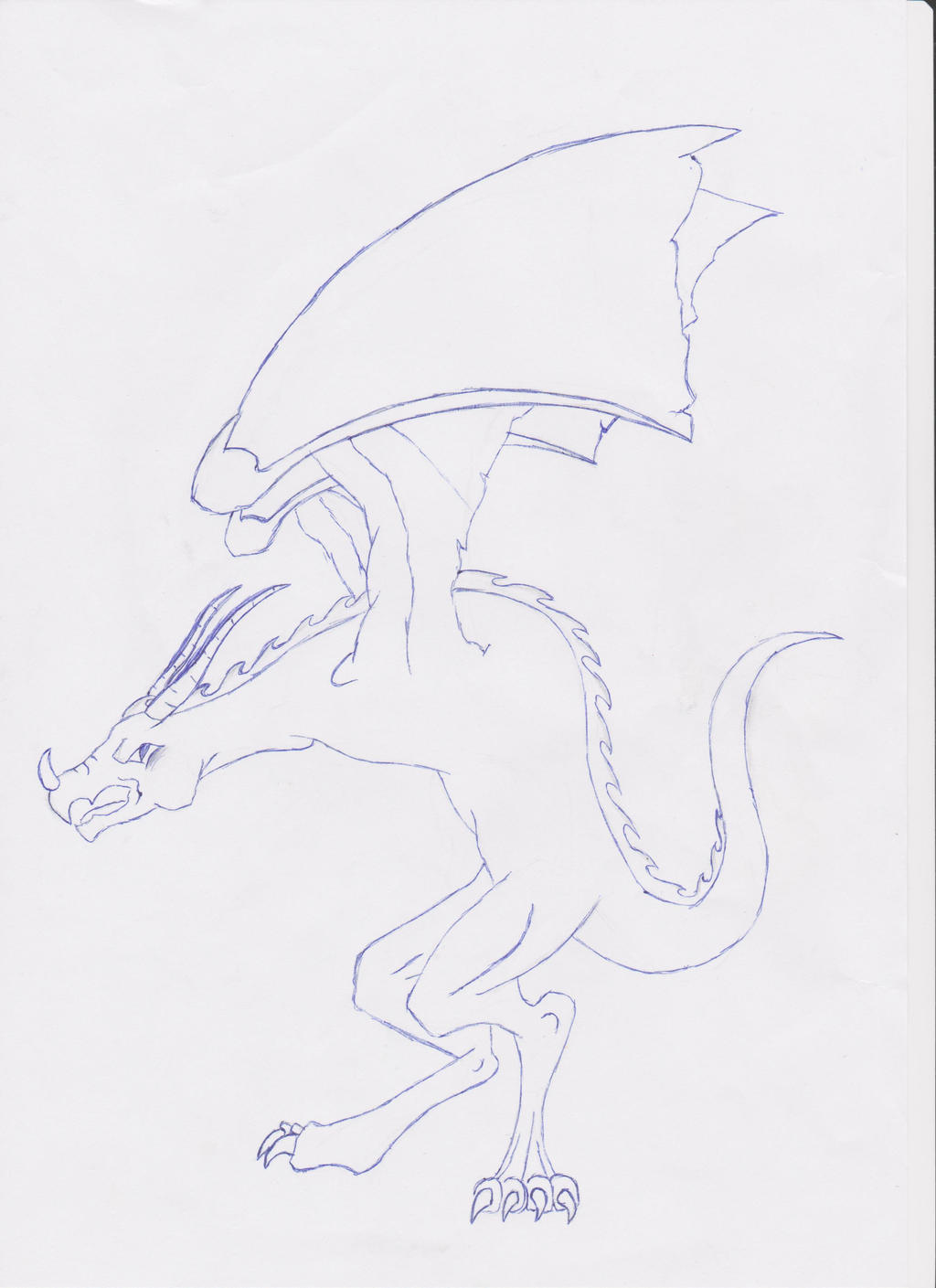 Wyvern Dragon By Kimmylia On Deviantart