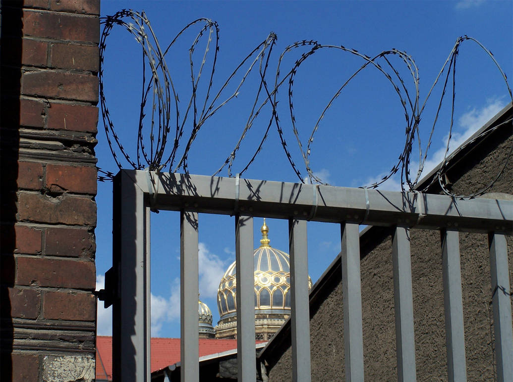 The Last One Standing by Purple-Legion on DeviantArt