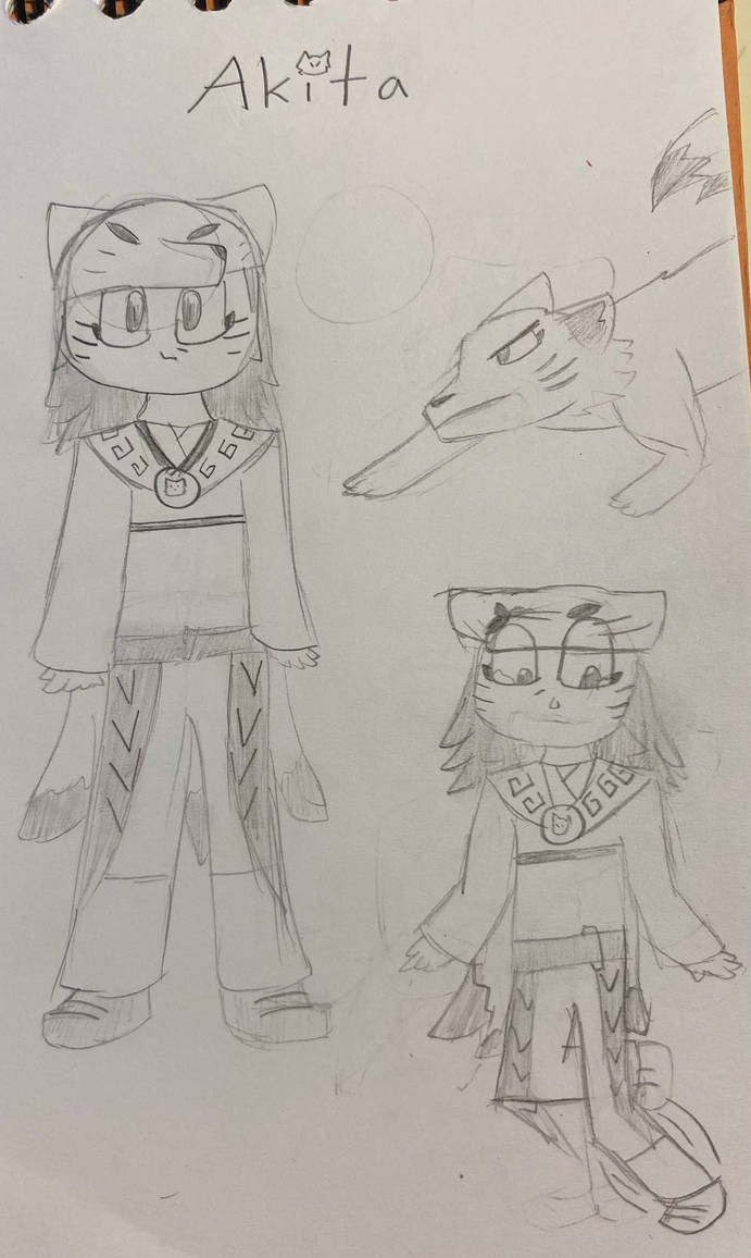 Akita Ninjago By Briarrabbit3010 On Deviantart