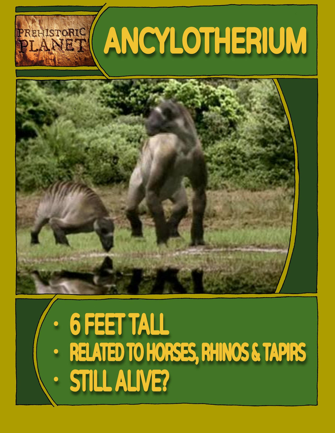 Prehistoric Planet 2002 Ancylotherium Card By Jam Man1998 On Deviantart
