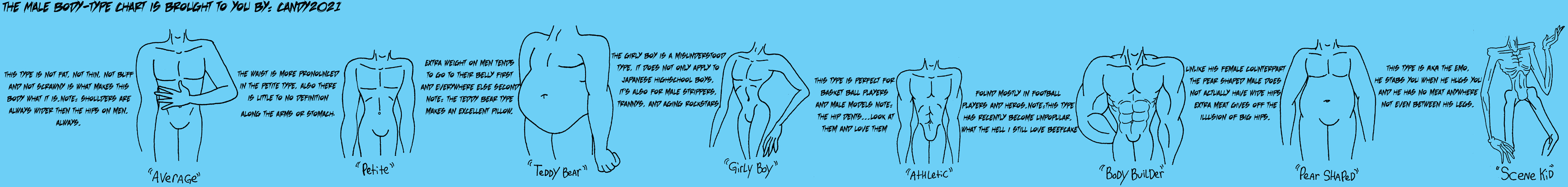 The Male Body Type Chart by Candy2021 on DeviantArt