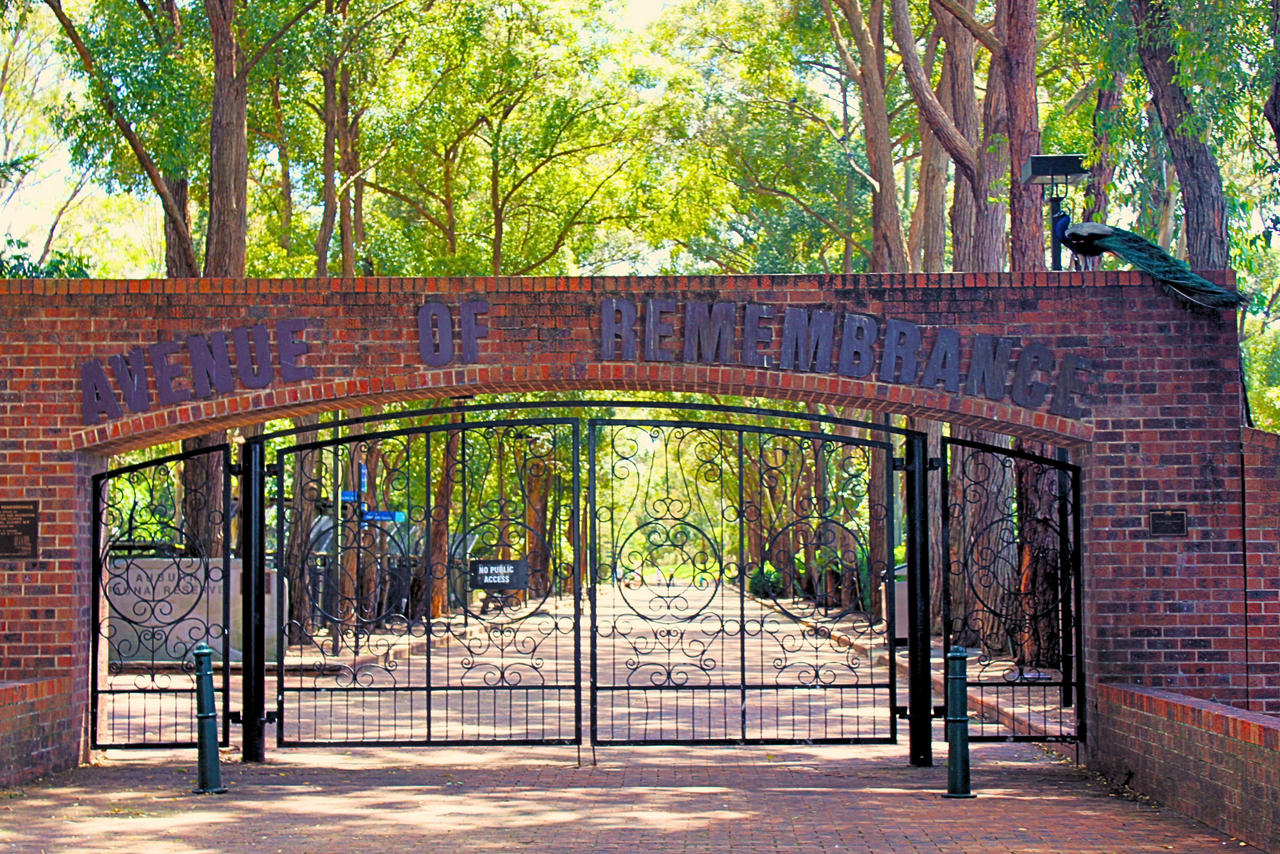 Peacock Avenue Of Remembrance By Raekathreen On Deviantart