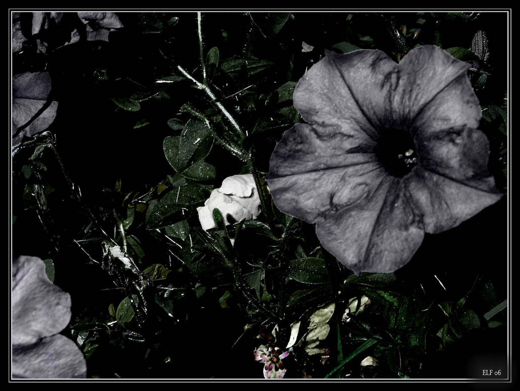 deathbed by lomion1321 on DeviantArt