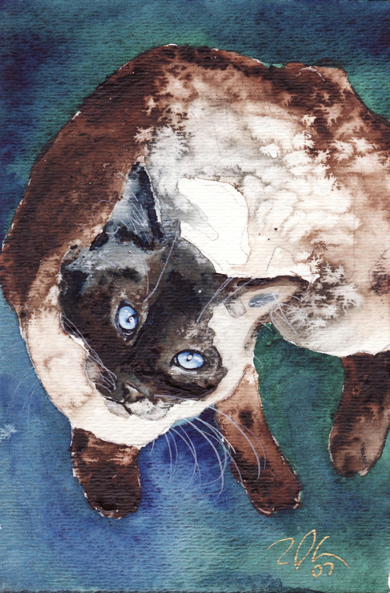 Ari by OdderByArt on DeviantArt