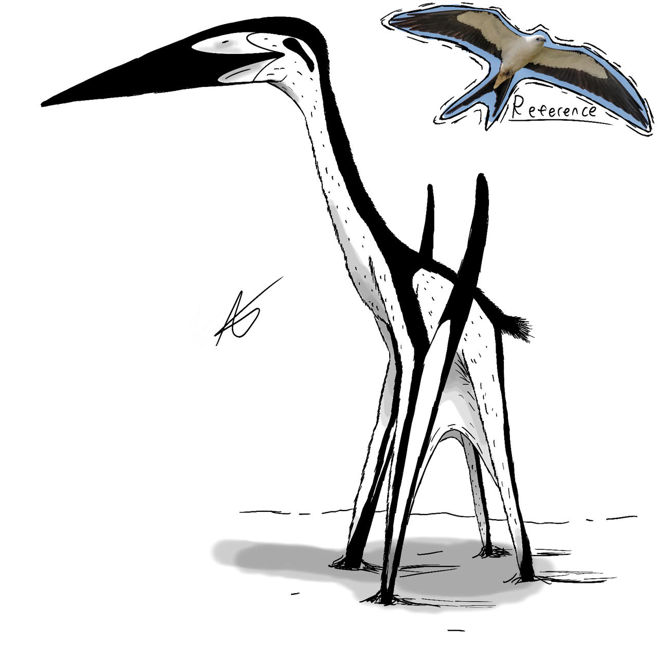 Hatzegopteryx Art By Hyperionpaleoart On Deviantart