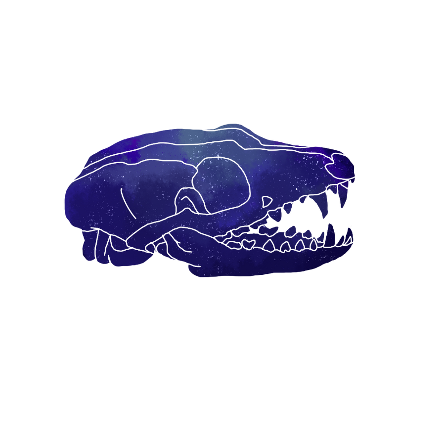 Fox Skull By Cokemom On Deviantart