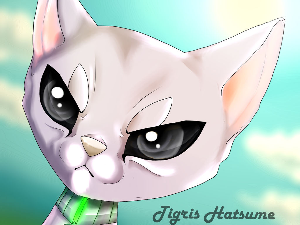 Mrkat By Minty Cola On Deviantart