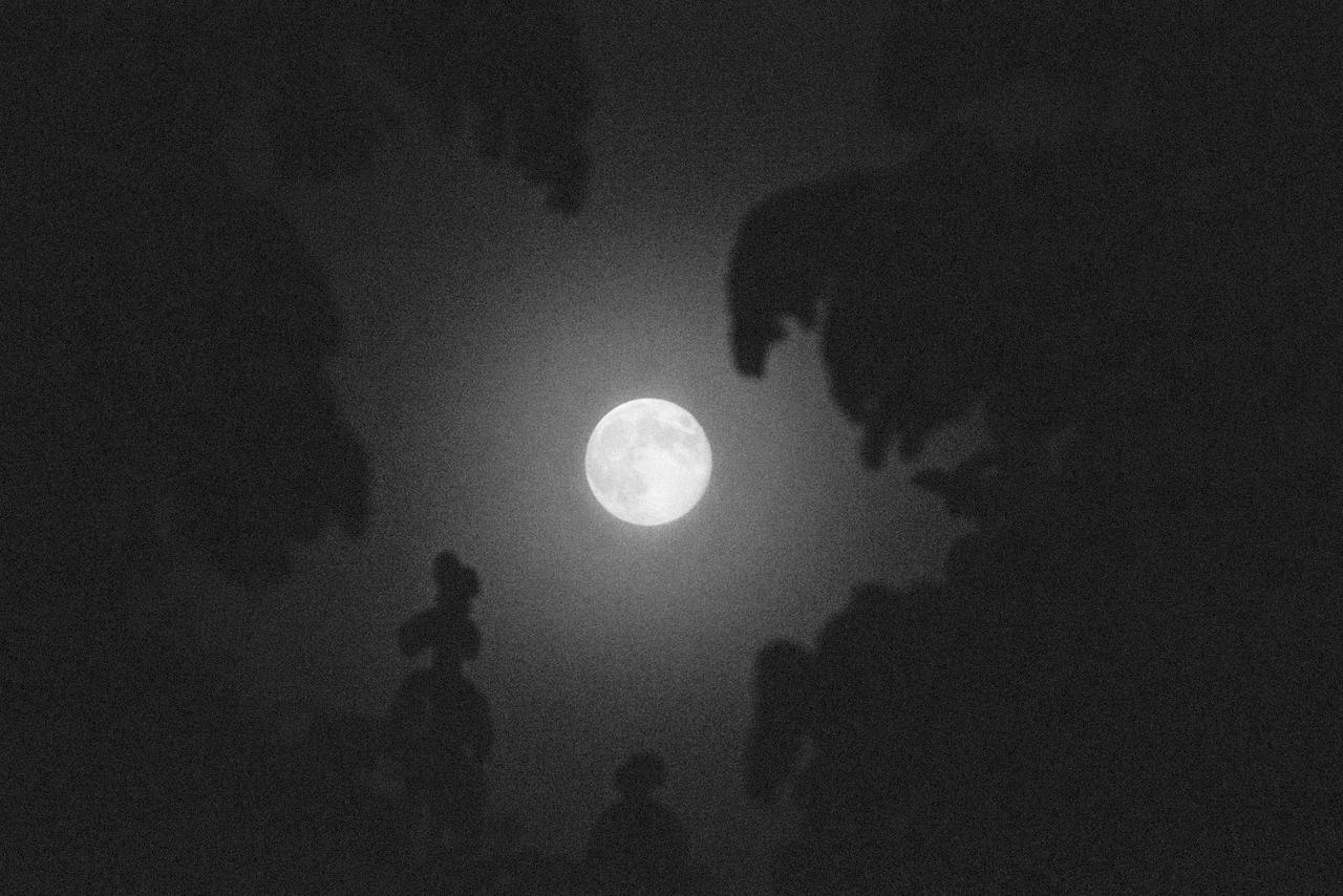 Bad Moon Rising by LuopioArt on DeviantArt Bad Moon Rising by LuopioArt on DeviantArt