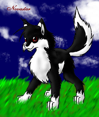 Chibi Novastar ID Feb 2006 by Novastar624 on DeviantArt