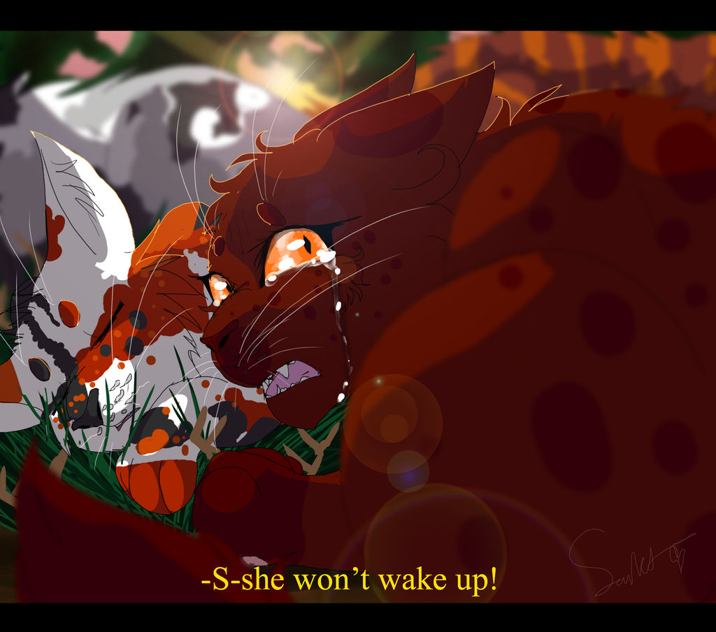 She Wont Wake Up Warrior Cats By Warriorcat3042 On Deviantart