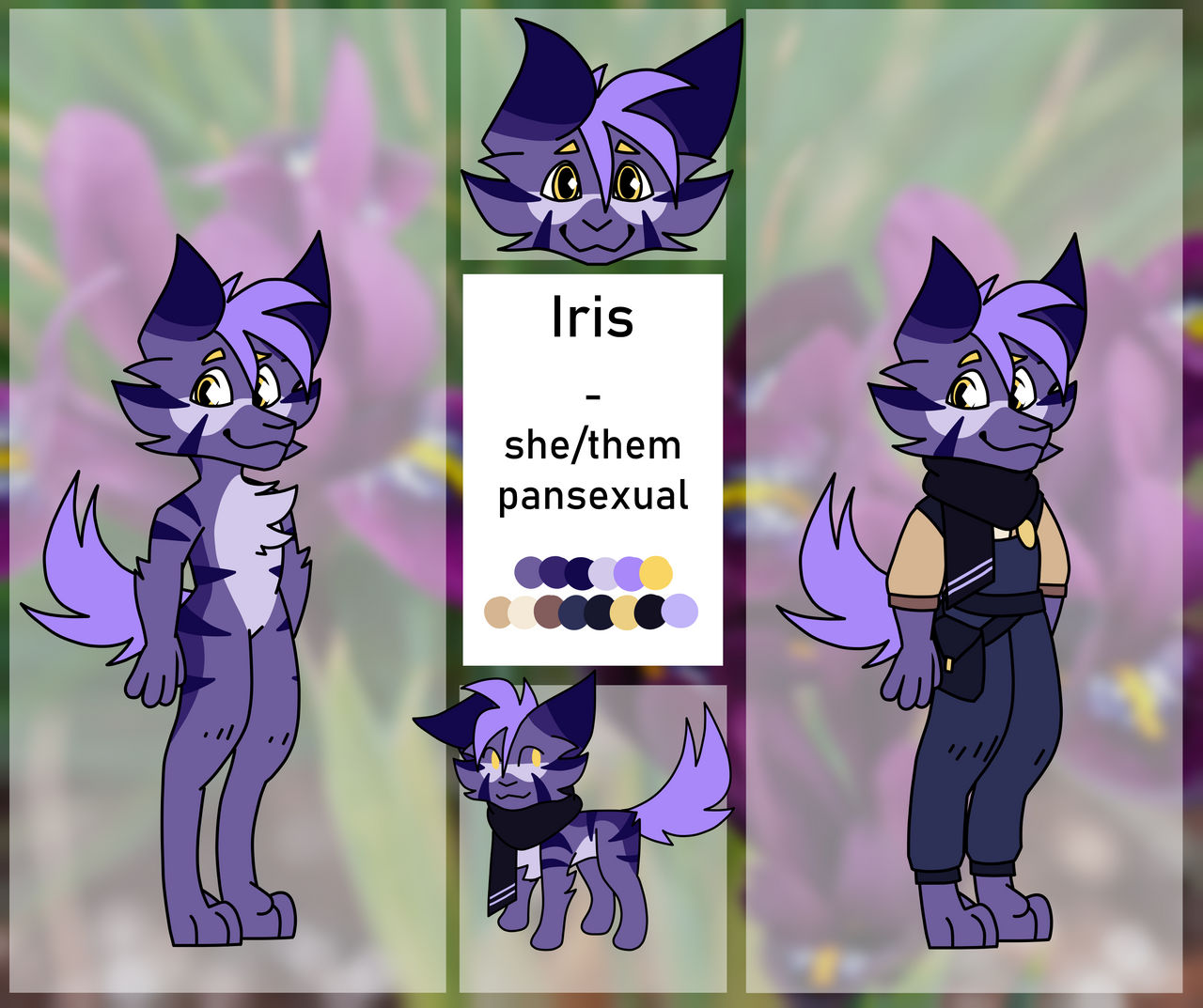 Iris Ref By Thecyanbandit On Deviantart