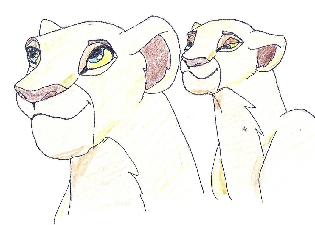 Faces of Nala by Bekerah on DeviantArt