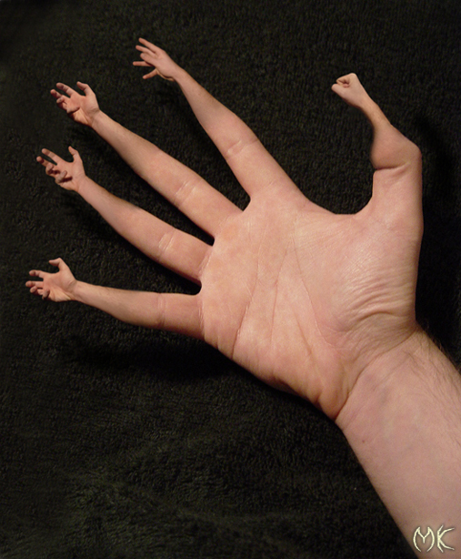 unnatural nature arm anatomy by malotzai on DeviantArt