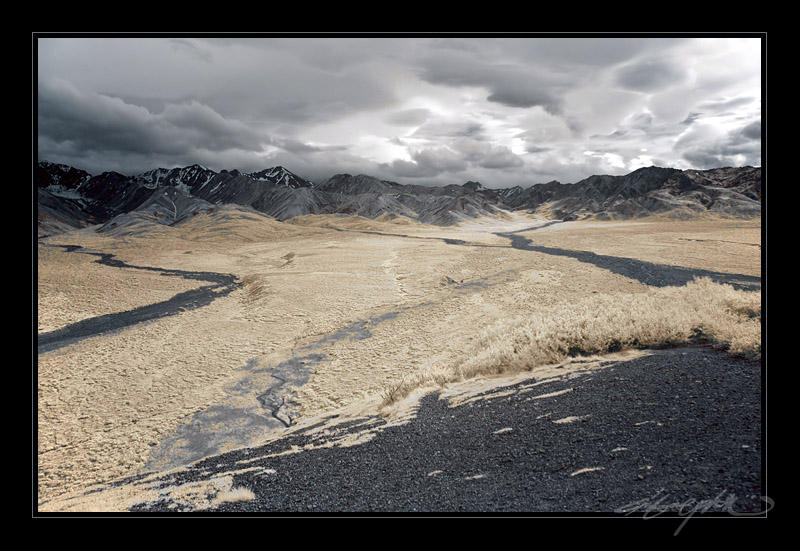Toxic Tundra by tisbone on DeviantArt