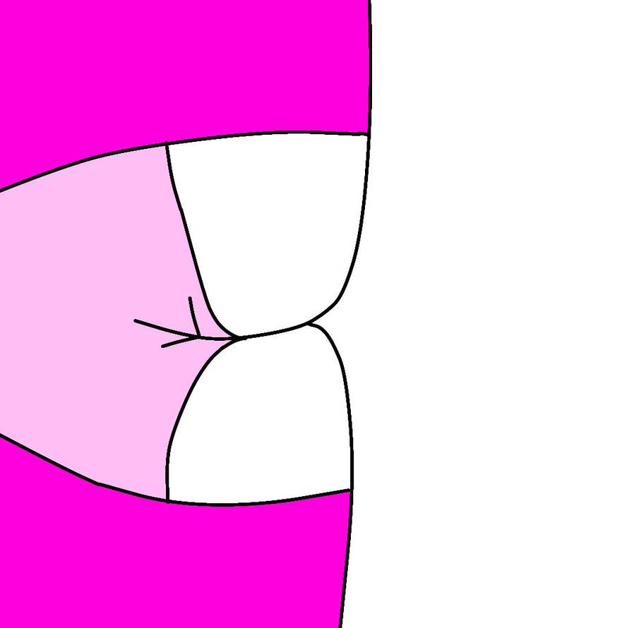 Cheer Bear New Belly Roll By Foxlippythecs On Deviantart