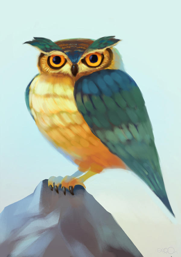 Owl By Zgul Osr1113 On Deviantart