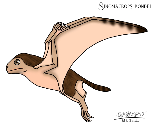 Sinomacrops Bondei By Ognimdo2002 On Deviantart
