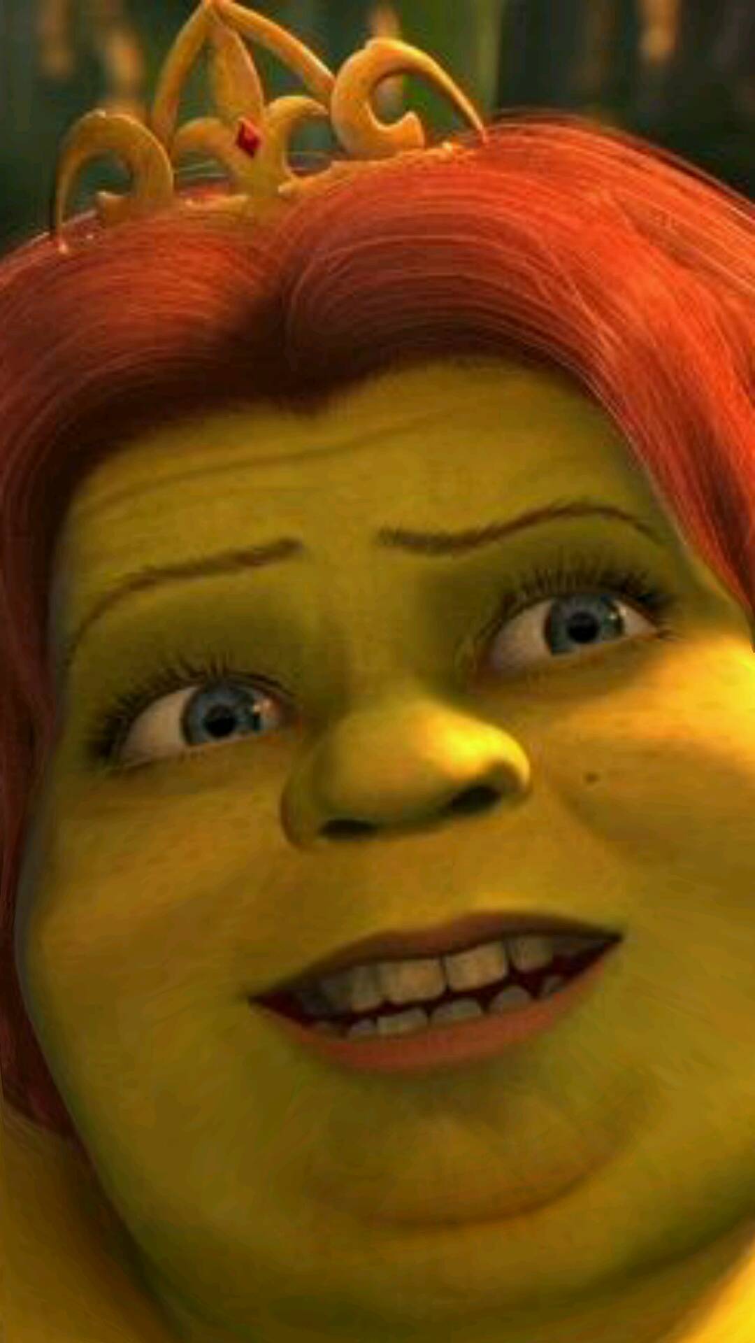 Fat Princess Fiona Ogre By Sonicthehedgehogfanb On Deviantart