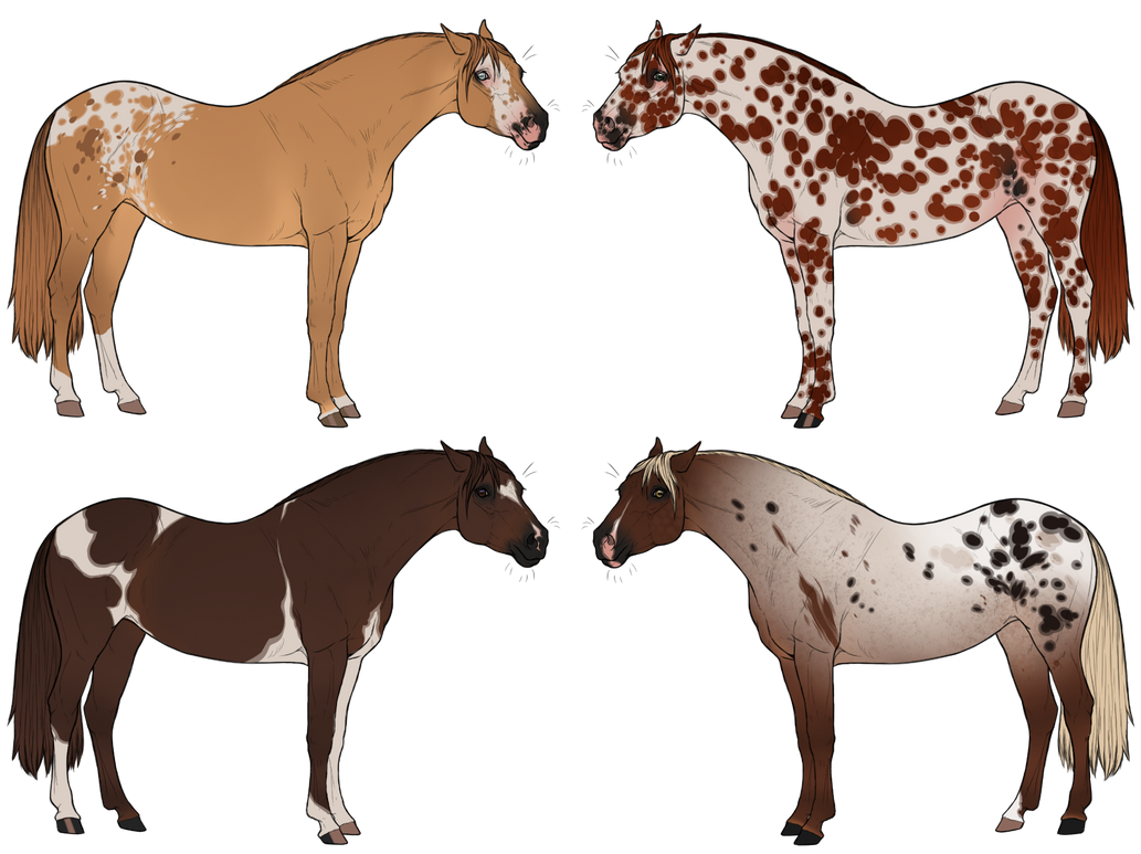 equine adopts | october | 001 | png version by FamineMyth on DeviantArt equine adopts | october | 001 | png version by FamineMyth on DeviantArt