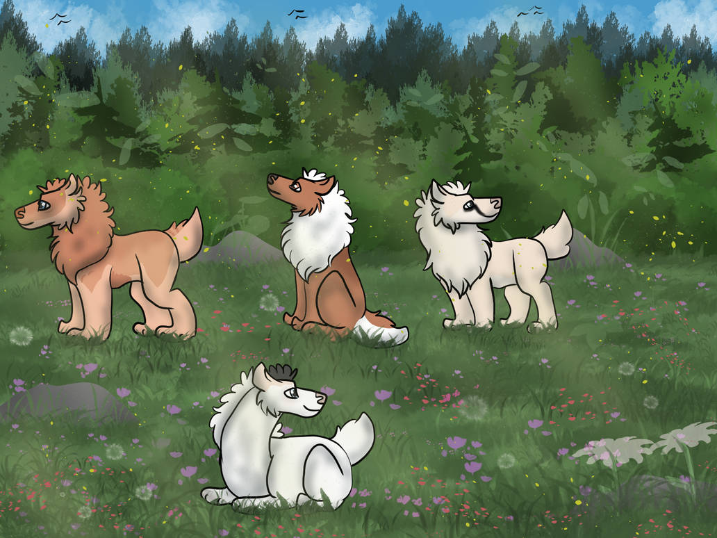 Explore 1 By Xleilla On Deviantart