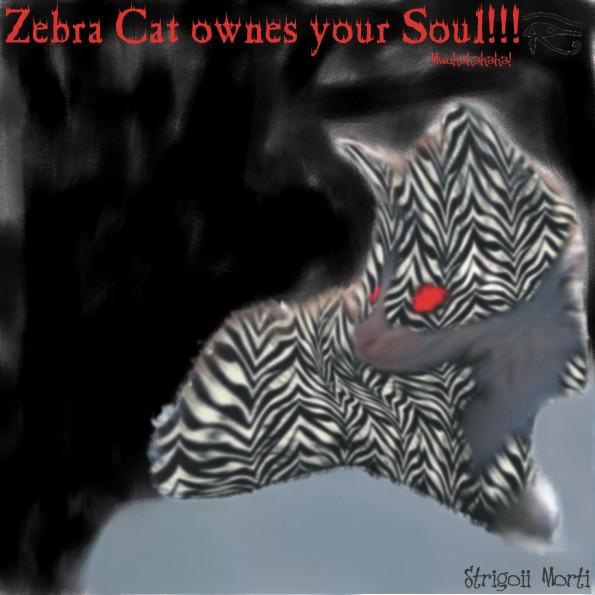 Zebra Cat 2 by Strigoii-Morti on DeviantArt