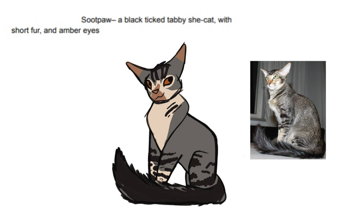 Sootpaw By Thekittenwitch On Deviantart
