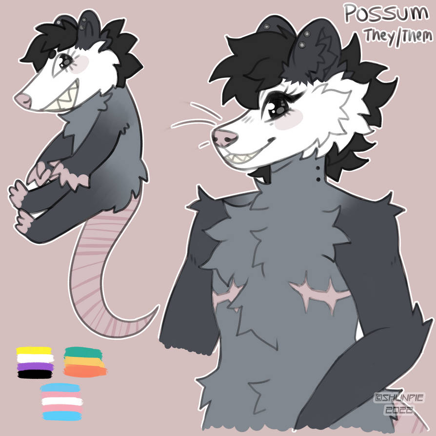 Possum Oc By Kiripi On Deviantart
