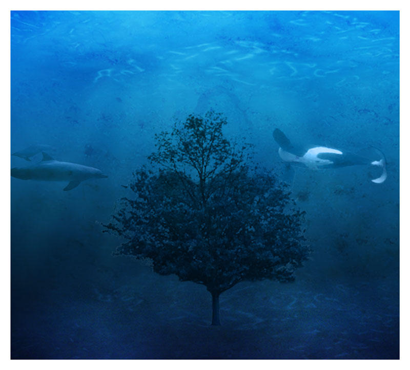 Underwater Tree by deadly-sinful on DeviantArt