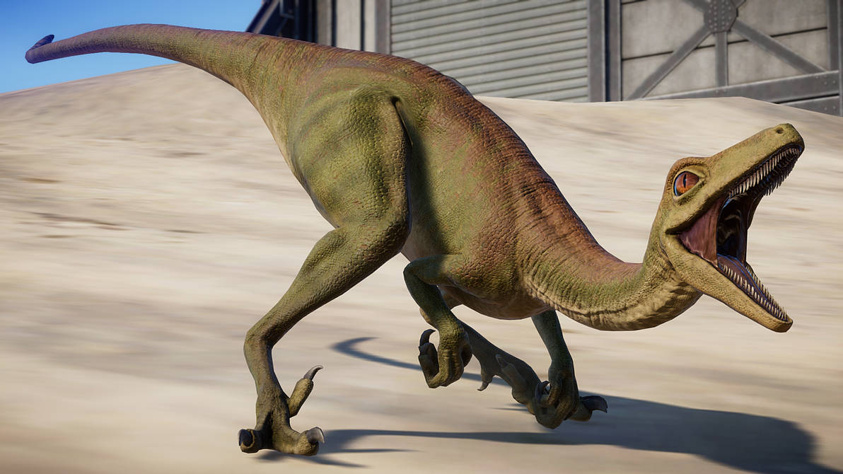 Jwe Troodon By Dracotyrannus On Deviantart