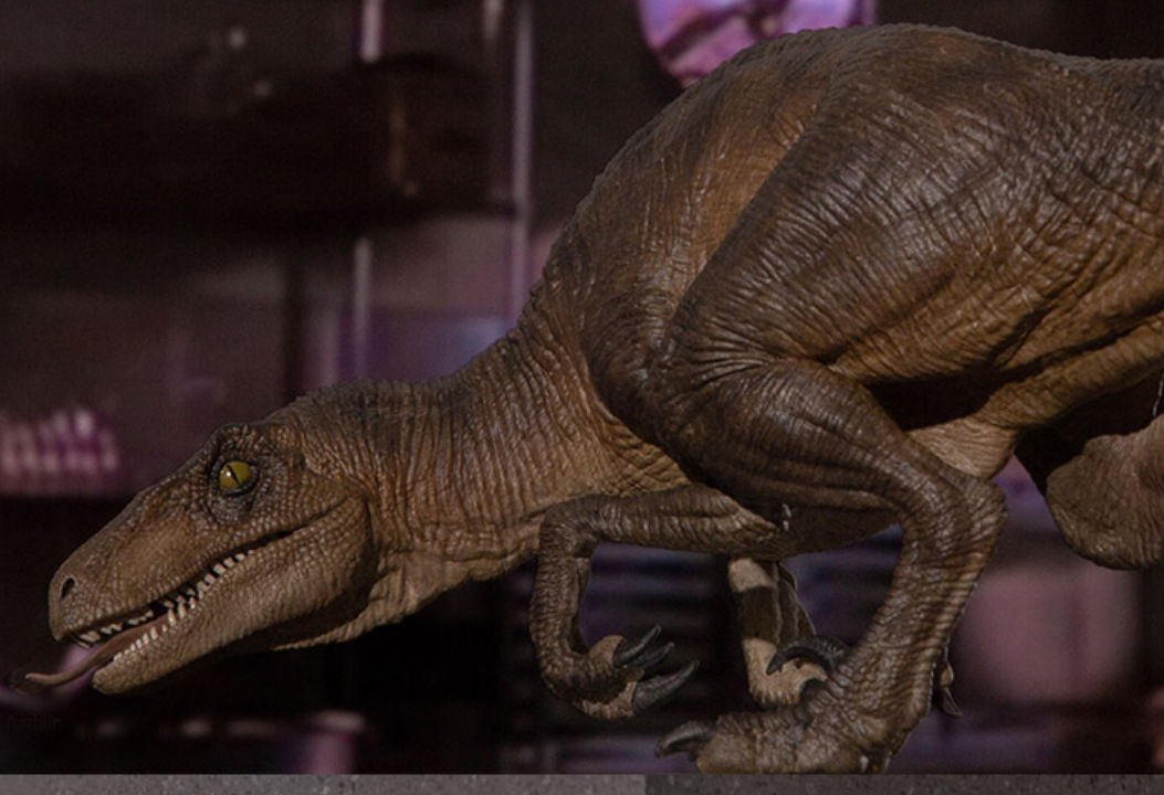 Jurassic Park Velociraptor By Dracotyrannus On Deviantart
