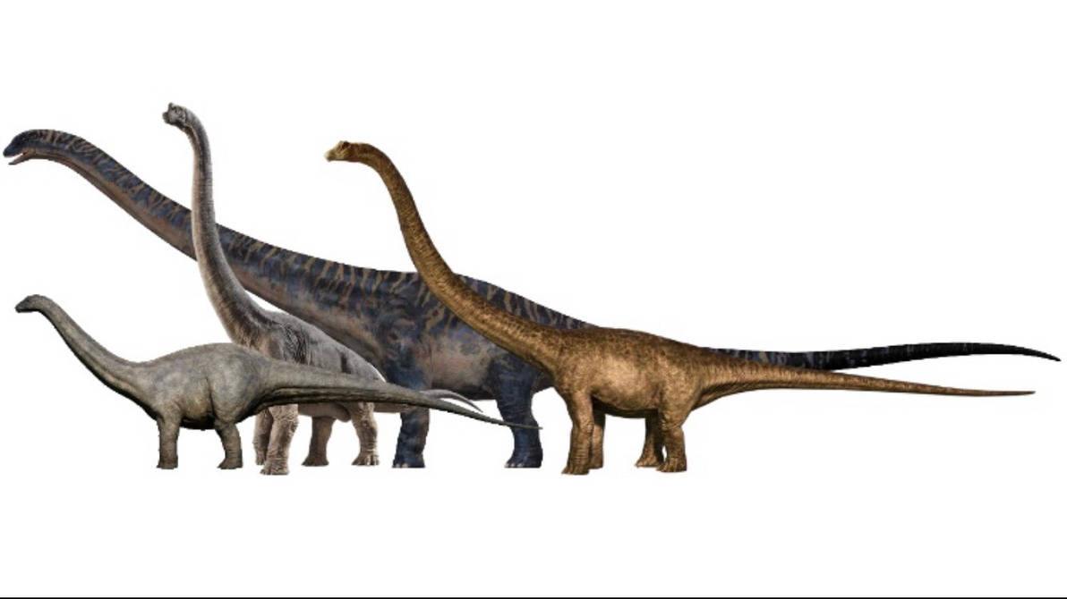 Jurassic Franchise Sauropods By Bvega41 On Deviantart