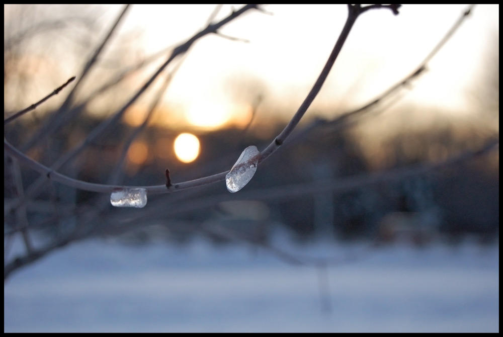Drop of Ice by snacktime on DeviantArt