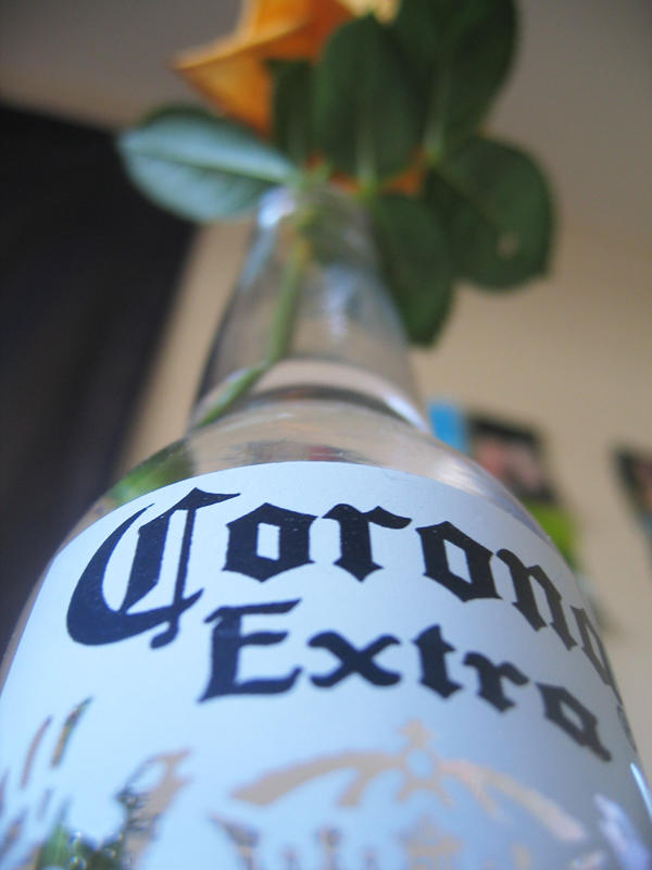 Corona Rose by sientemiamor on DeviantArt