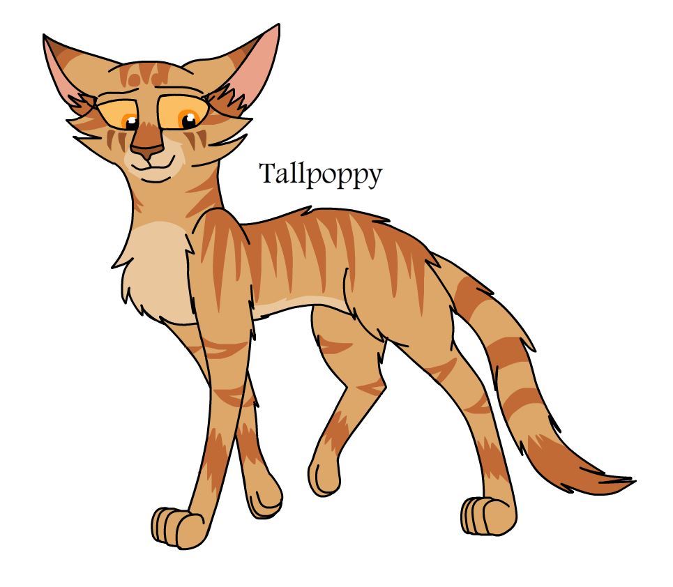 Warriors Design 289 Tallpoppy By Thedawnmist On Deviantart